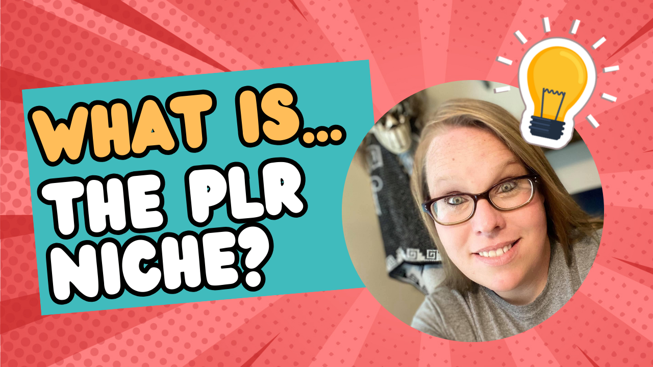 What Does It Mean? The PLR Niche Explained! – LizTomey.com