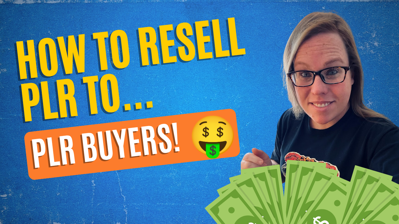 14 PLR Bundles And AI Too! Wow! – LizTomey.com